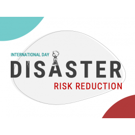 Free - International Day for Disaster Risk Reduction PowerPoint ...