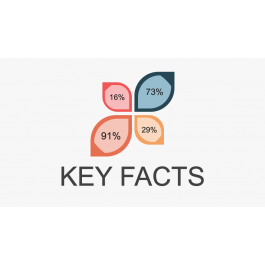 Key Facts PowerPoint and Google Slides Template - PPT Slides