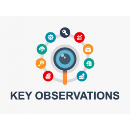 Key Observations PowerPoint and Google Slides Template - PPT Slides