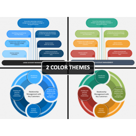 Large Account Management PowerPoint and Google Slides Template - PPT Slides