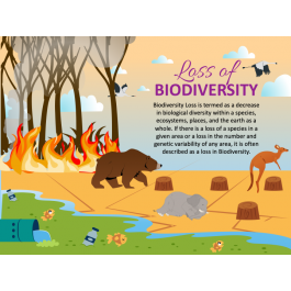 Loss of Biodiversity PowerPoint and Google Slides Template - PPT Slides