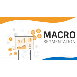 Macro Segmentation PowerPoint and Google Slides Template - PPT Slides