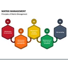Matrix Management PowerPoint and Google Slides Template - PPT Slides