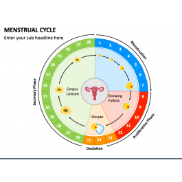 period cycle chart