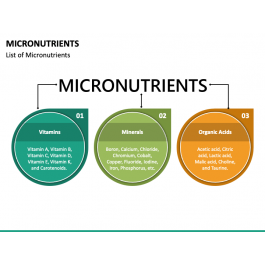 Micronutrients PowerPoint and Google Slides Template - PPT Slides