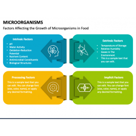 Microorganisms PowerPoint and Google Slides Template - PPT Slides