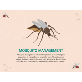 Mosquito Management PowerPoint and Google Slides Template - PPT Slides