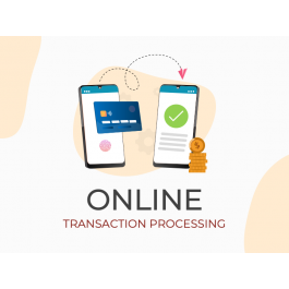 Online Transaction Processing PowerPoint and Google Slides Template - PPT Slides