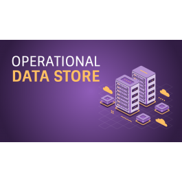 Operational Data Store PowerPoint and Google Slides Template - PPT Slides