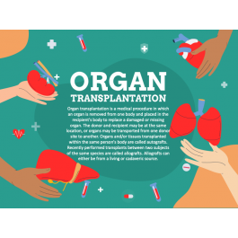 Organ Transplantation PowerPoint and Google Slides Template - PPT Slides