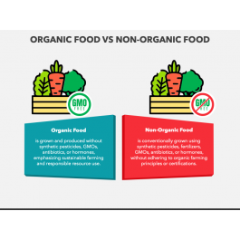 Organic Food Vs Non-Organic Food PowerPoint and Google Slides Template - PPT Slides