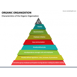 Organic Organization PowerPoint and Google Slides Template - PPT Slides