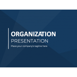 Organization Infographic for PowerPoint and Google Slides - PPT Slides