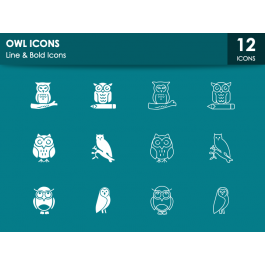 Owl Icons for PowerPoint and Google Slides - PPT Slides