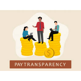 Pay Transparency PowerPoint and Google Slides Template - PPT Slides