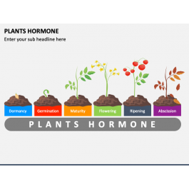 Plants Hormone PowerPoint and Google Slides Template - PPT Slides