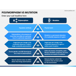 Polymorphism Vs Mutation PowerPoint and Google Slides Template - PPT Slides