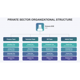 Private Sector Organizational Structure for PowerPoint and Google ...