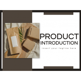 Product Introduction PowerPoint and Google Slides Template - PPT Slides