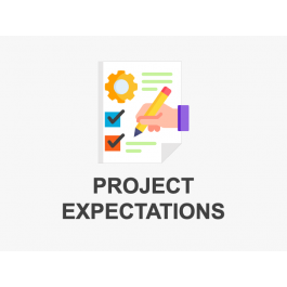 Project Expectations PowerPoint and Google Slides Template - PPT Slides
