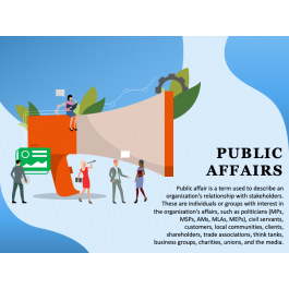 Public Affairs PowerPoint and Google Slides Template - PPT Slides