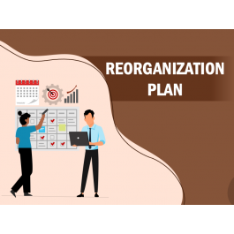 Reorganization Plan PowerPoint and Google Slides Template - PPT Slides