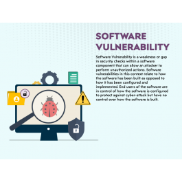 Software Vulnerability PowerPoint and Google Slides Template - PPT Slides