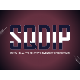 SQDIP PowerPoint Template and Google Slides Theme