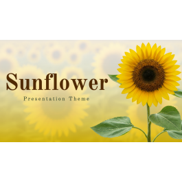 Free - Sunflower Theme for PowerPoint and Google Slides - PPT Slides