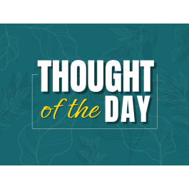 Free - Free - Thought of the Day - Typography PowerPoint and Google ...