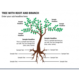 Tree with Root and Branch for PowerPoint and Google Slides - PPT Slides
