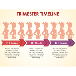 Trimester Timeline PowerPoint and Google Slides Template - PPT Slides