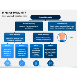 Free - Types of Immunity PowerPoint Template and Google Slides Theme ...