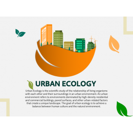 Urban Ecology PowerPoint and Google Slides Template - PPT Slides