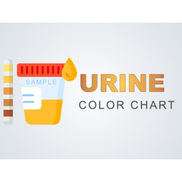 Urine Color Chart PowerPoint and Google Slides Template - PPT Slides