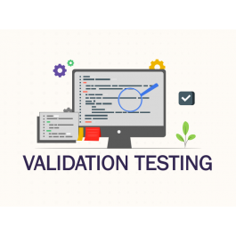 Validation Testing PowerPoint and Google Slides Template - PPT Slides