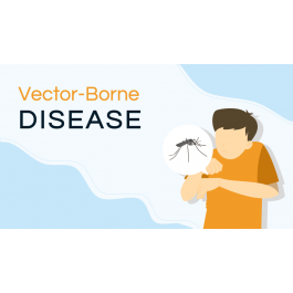 Vector-Borne Disease PowerPoint and Google Slides Template - PPT Slides