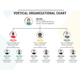 Vertical Organizational Chart for PowerPoint and Google Slides - PPT Slides