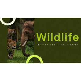 Free - Wildlife Presentation for PowerPoint and Google Slides - PPT Slides