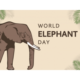 Free - World Elephant Day PowerPoint Template and Google Slides Theme