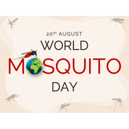 Free - World Mosquito Day PowerPoint Template and Google Slides Theme