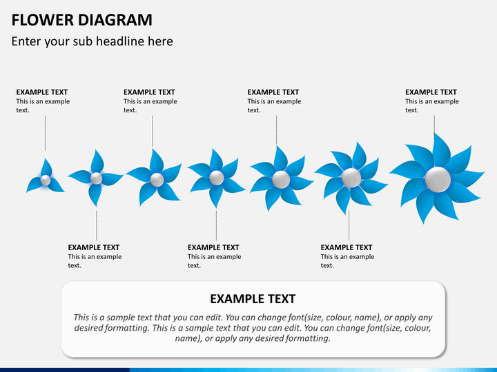 Flower Diagram for PowerPoint and Google Slides - PPT Slides