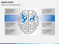 Brain Chart for PowerPoint and Google Slides - PPT Slides