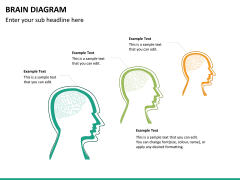 Brain Diagram PowerPoint Template | SketchBubble
