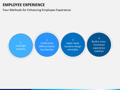 Employee Experience PowerPoint Template | SketchBubble