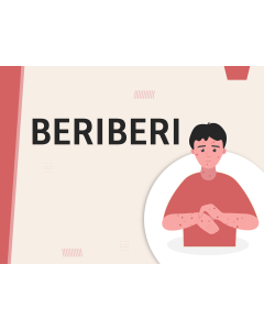 PowerPoint en Google Slides Templates, Grafieken & Thema’s - SketchBubble