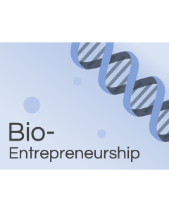 PowerPoint en Google Slides Templates, Grafieken & Thema’s - SketchBubble