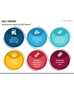Theory PowerPoint Templates and Google Slides Themes - Page 3/