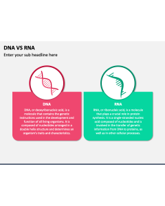 DNA PowerPoint Templates and Google Slides Themes