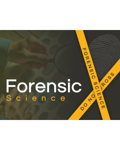 PowerPoint and Google Slides Templates, Graphics & Themes - SketchBubble